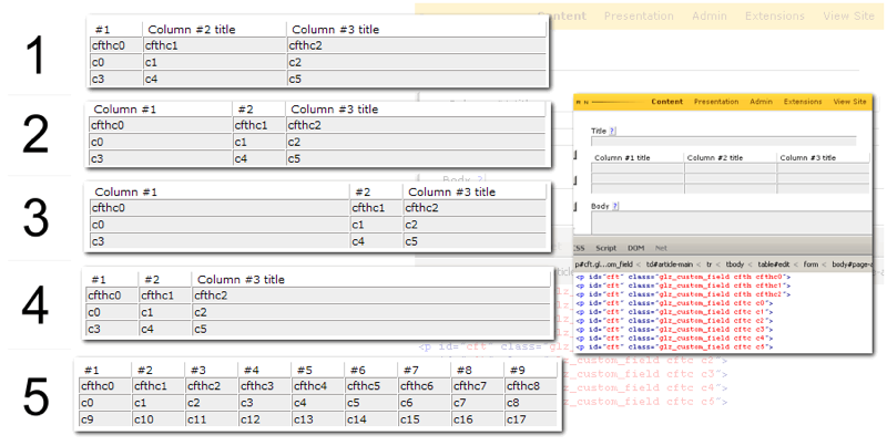 Creating A Custom Fields Table › Textpattern Tips 8747